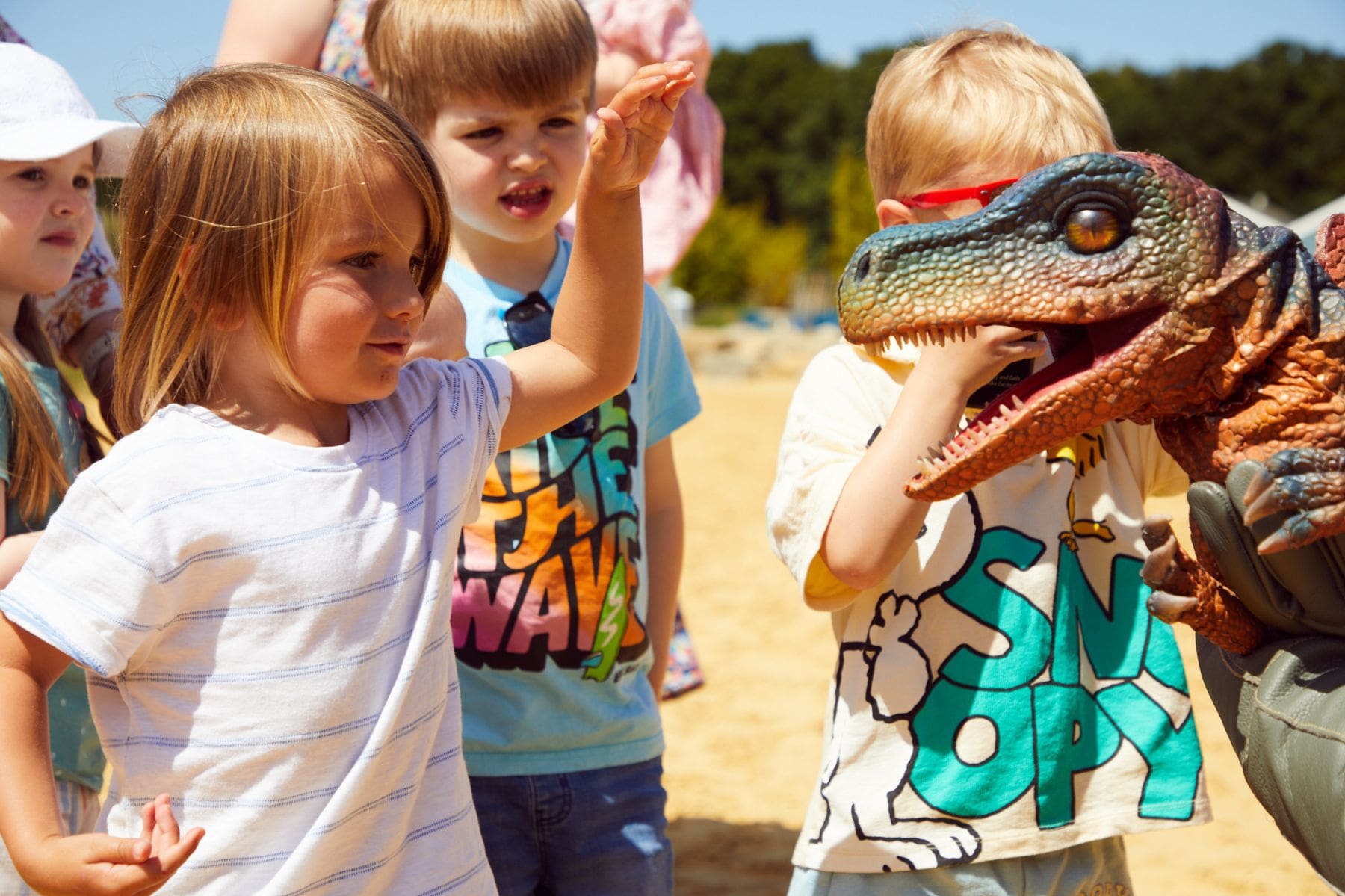 Summer Holiday Day Out - Summer of Adventure