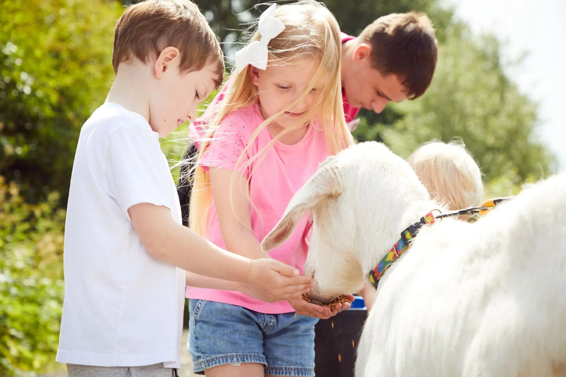 Piglets Adventure Farm in Towthorpe, North Yorkshire